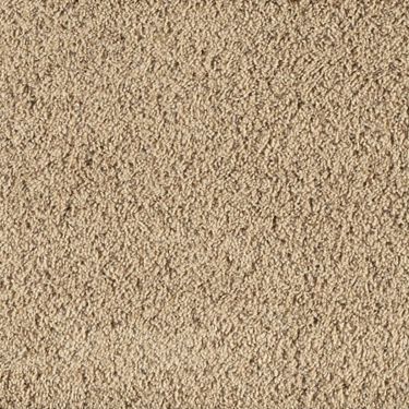 ShawMark Carpet Tile | Concord CA | San Ramon CA | Danviile Ca
