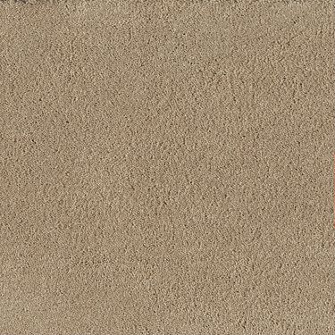 ShawMark Carpet Tile | Concord CA | San Ramon CA | Danviile Ca
