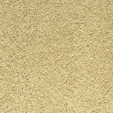 ShawMark Carpet Tile | Concord CA | San Ramon CA | Danviile Ca