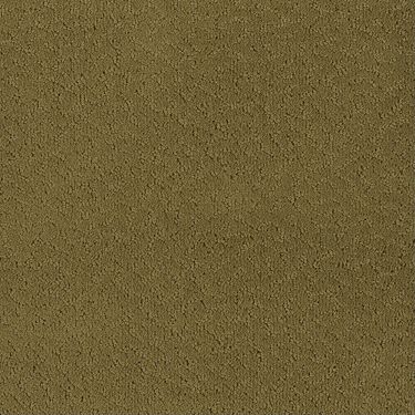 ShawMark Carpet Tile | Concord CA | San Ramon CA | Danviile Ca