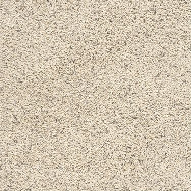 ShawMark Carpet Tile | Concord CA | San Ramon CA | Danviile Ca