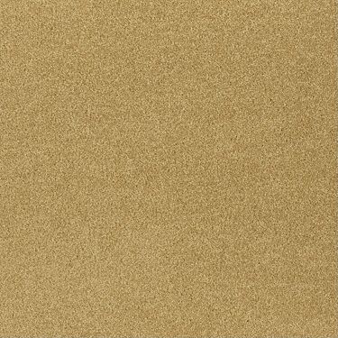 ShawMark Carpet Tile | Concord CA | San Ramon CA | Danviile Ca